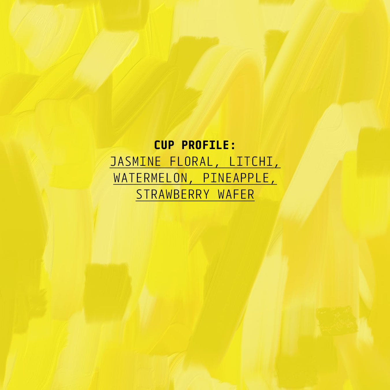 Cedar Coffee Roasters